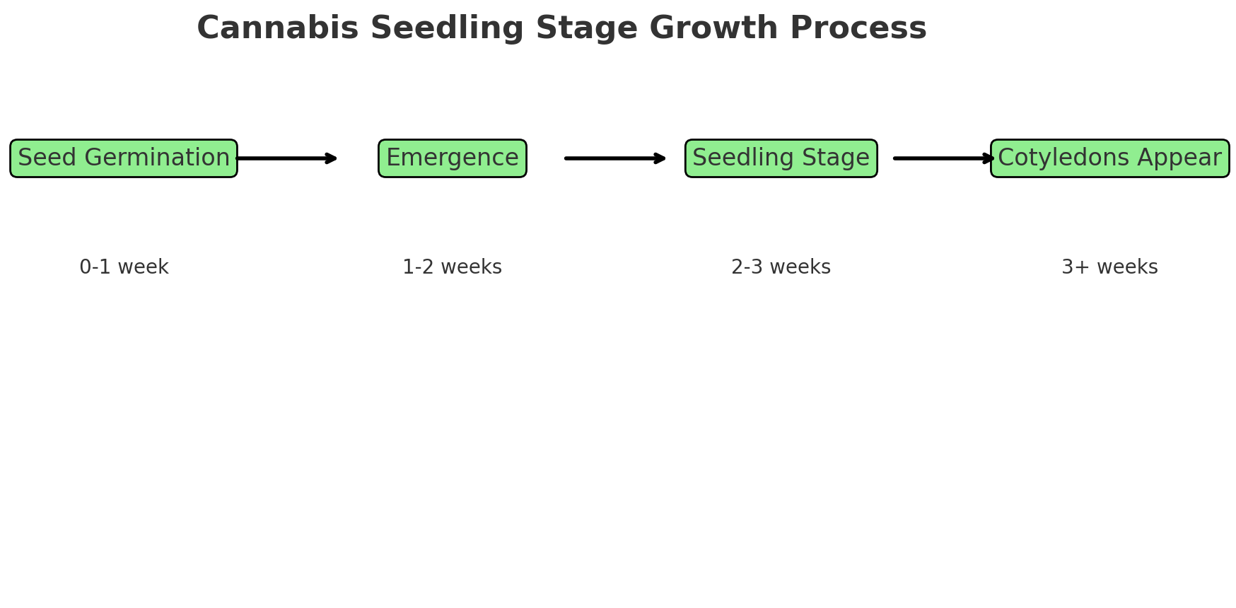 Complete Guide to Cannabis Seedlings Stage Care: Essential Tips for ...